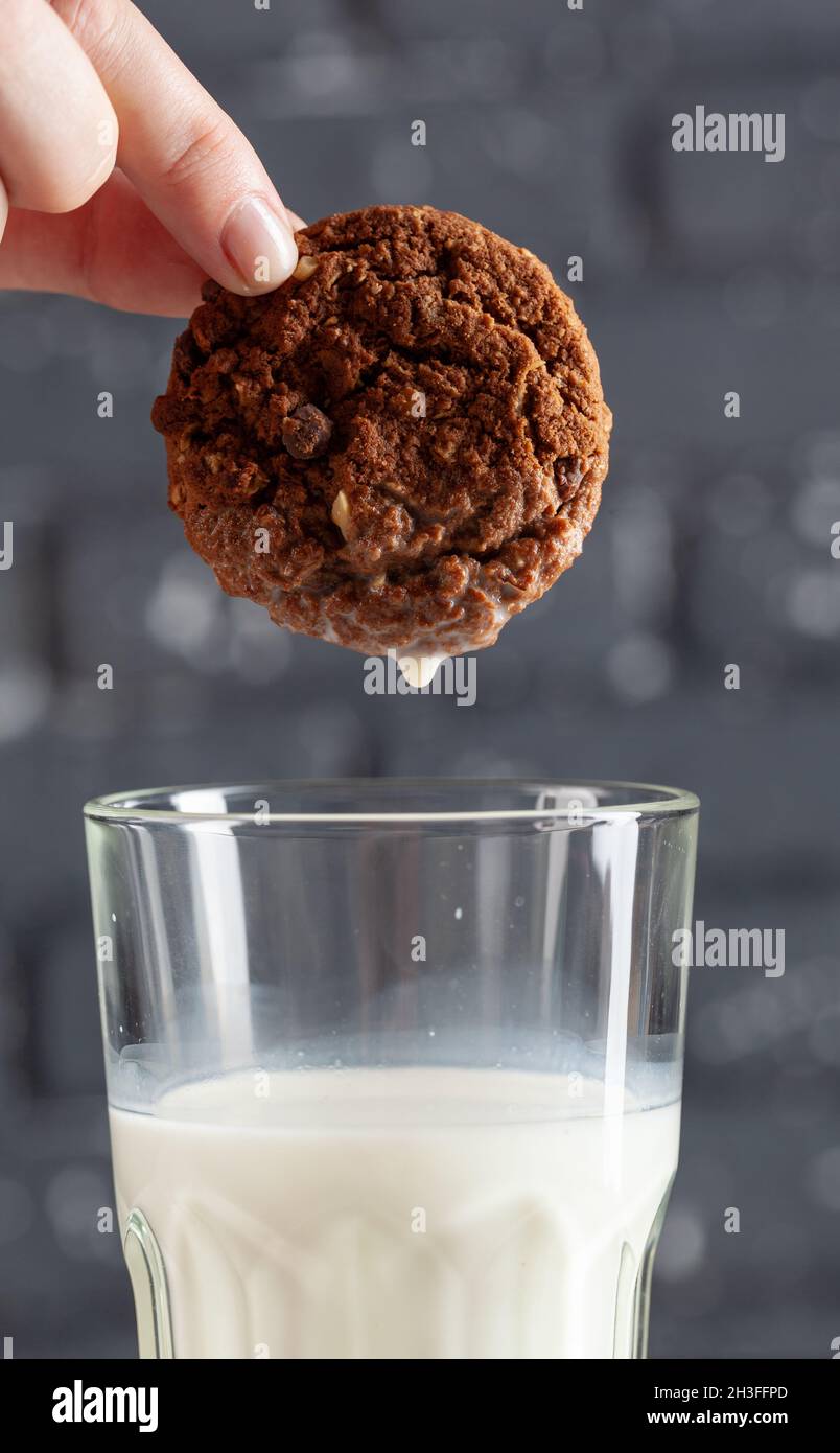 Female hand dunking cookie in milk close up Stock Photo - Alamy