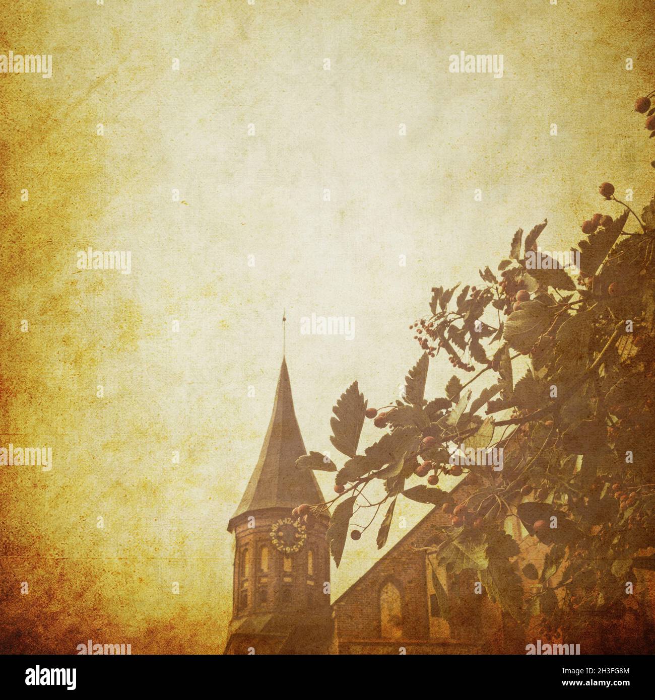 Vintage background with Medieval Clock Tower and a branch of hawthorn ...