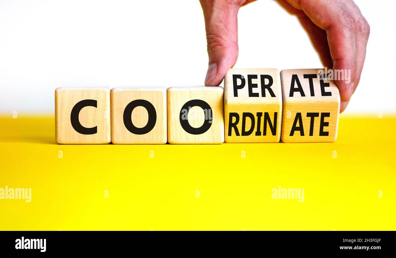 Coordinate and cooperate symbol. Businessman turns wooden cubes and ...