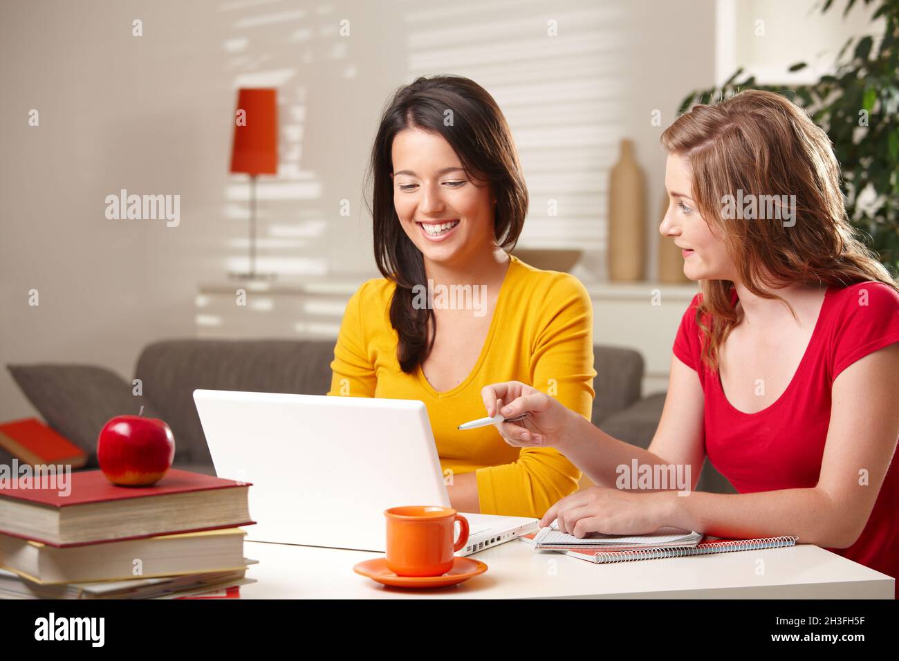 Happy schoolgirls learning with computer Stock Photo - Alamy