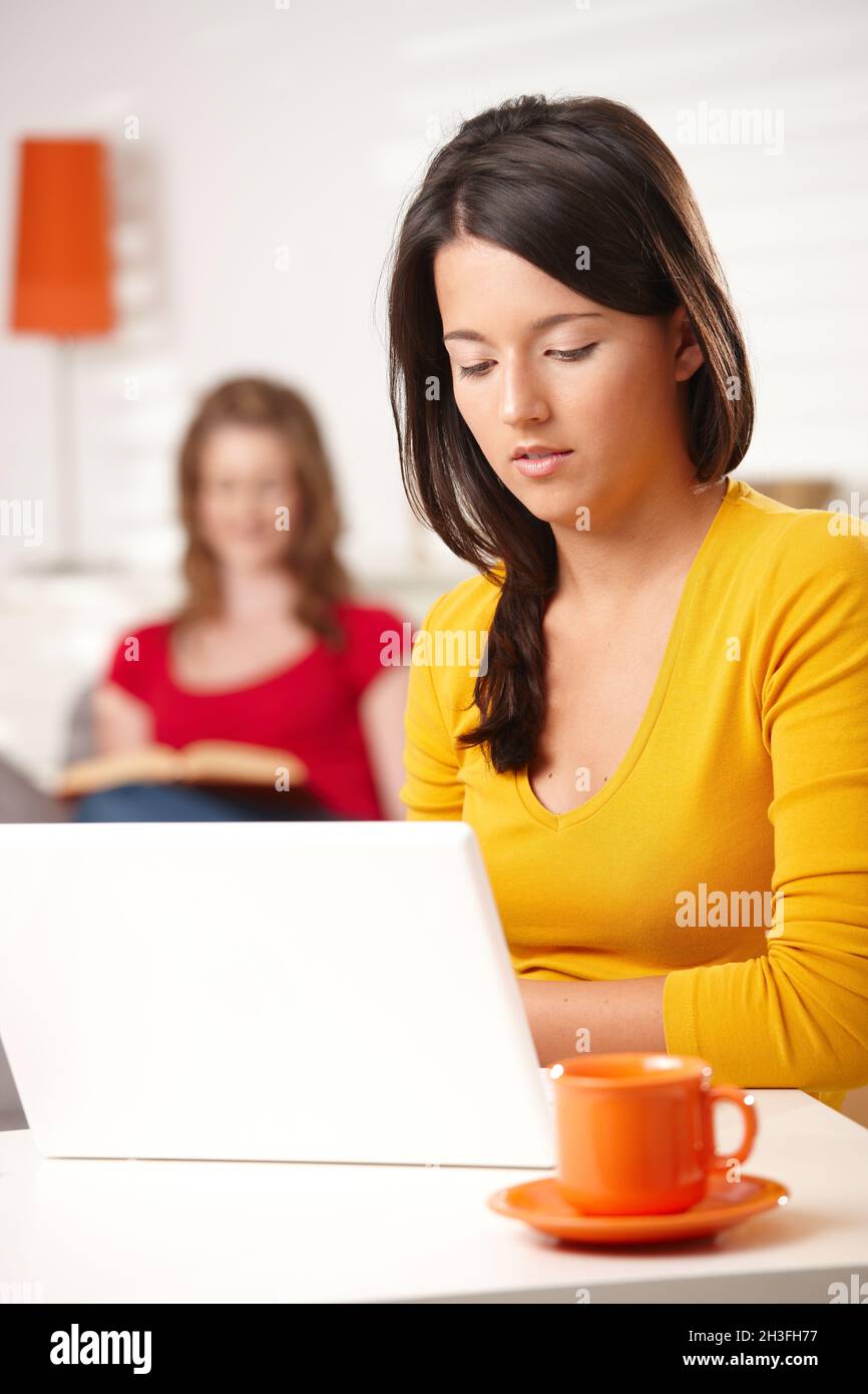 Teen girl working on computer Stock Photo - Alamy