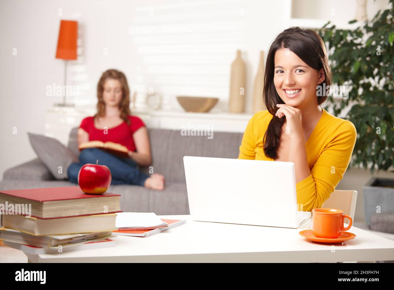 Teen students learning at home Stock Photo - Alamy