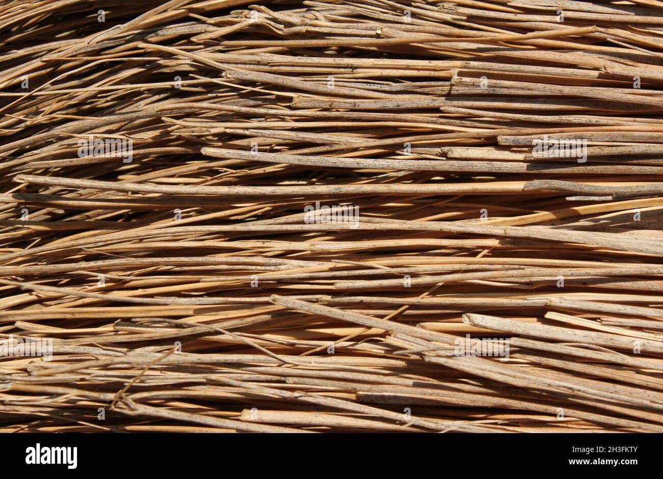 close up of a straw broom Stock Photo - Alamy