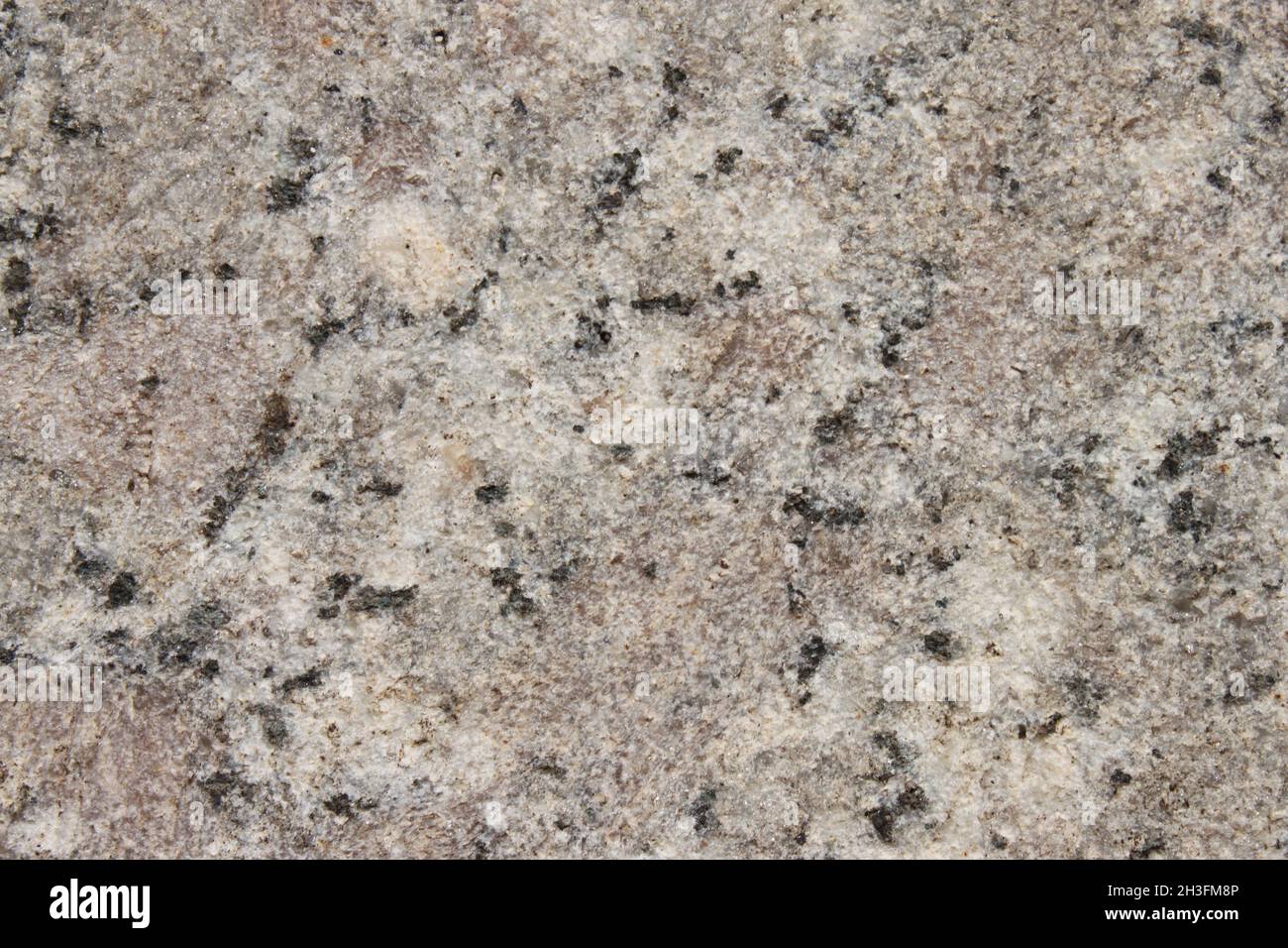 gray granite stone slab close up Stock Photo - Alamy