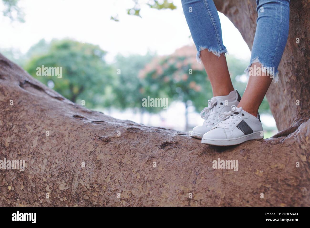 Lovely legs hi-res stock photography and images - Alamy