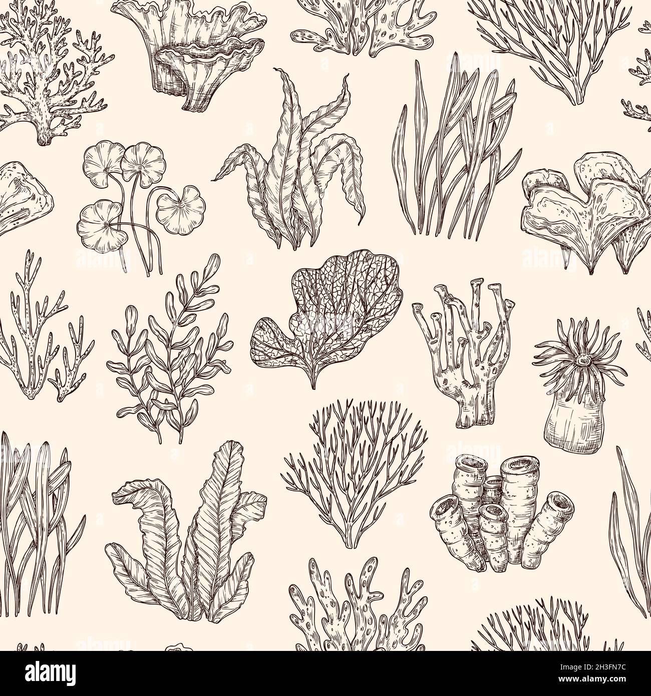 Ocean Plant Life Drawings