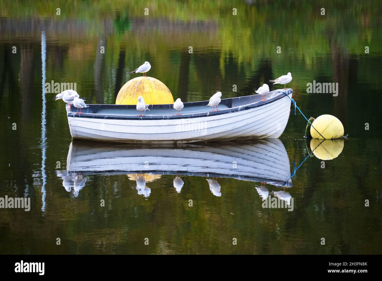 Boat in lake for tranquility calm peace and mindfulness Stock Photo - Alamy