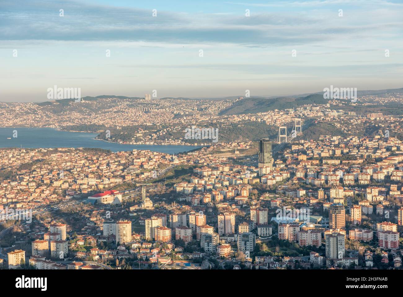 Aerial view of the city downtown and skyscrapers. Skyscrapers and ...