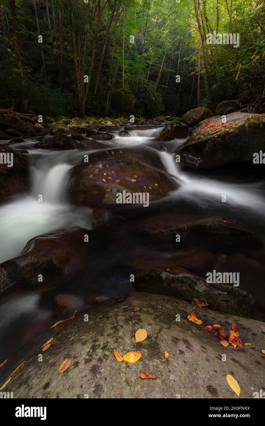 Big creek great smoky mountains national park hi-res stock photography ...