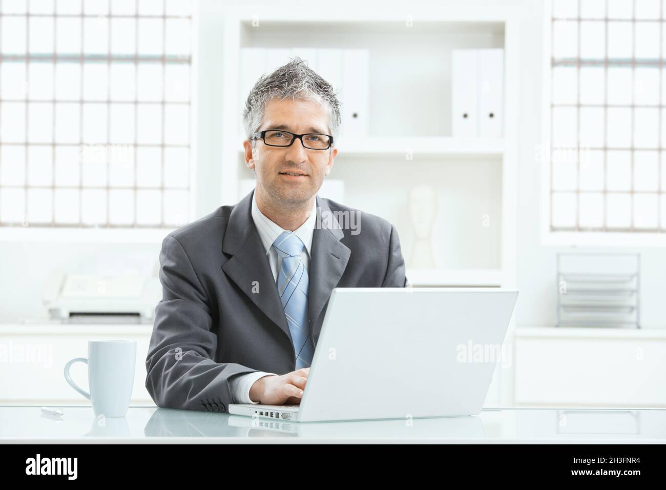 Portrait male executive working hi-res stock photography and images - Alamy