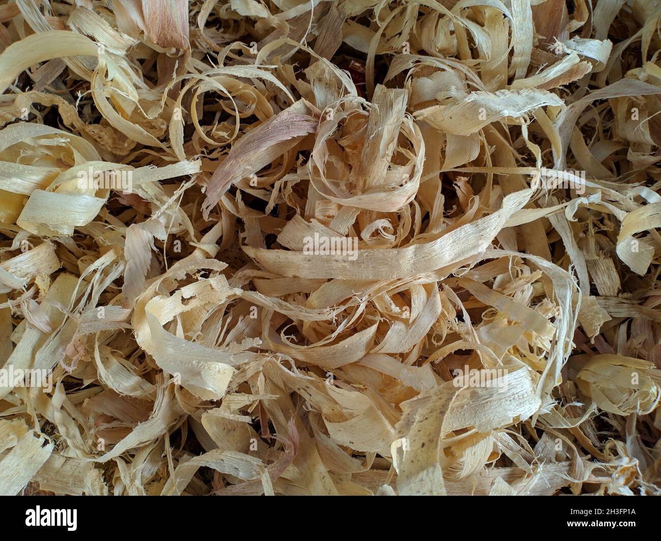 Closeup shot of wood shavings Stock Photo - Alamy