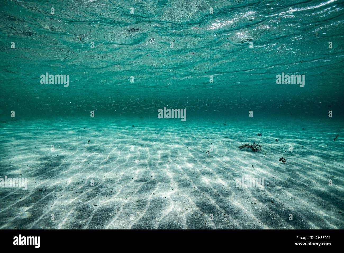 Turquoise underwater world texture background Stock Photo - Alamy