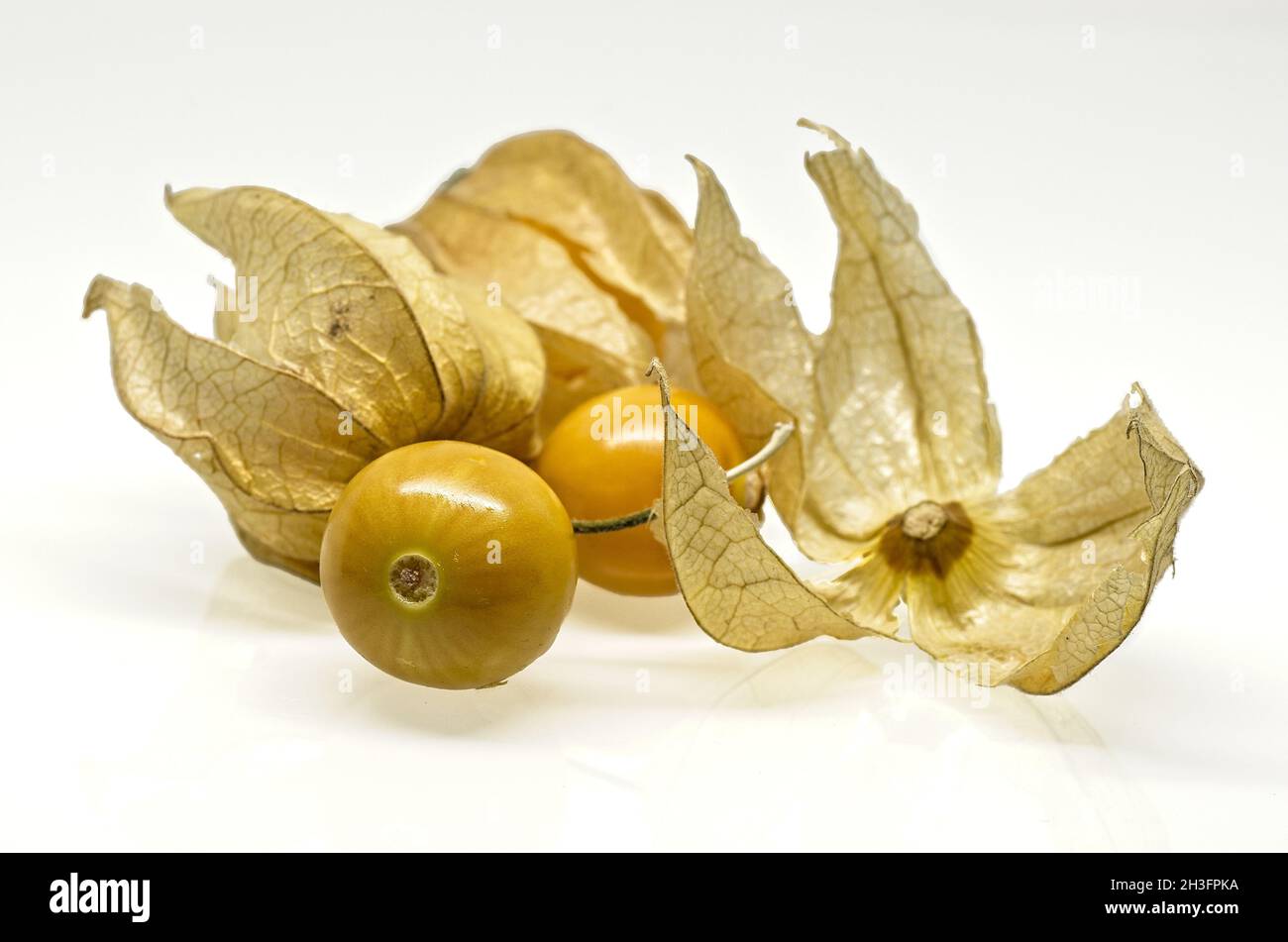 Physalis fruits isolated on a white background Stock Photo - Alamy