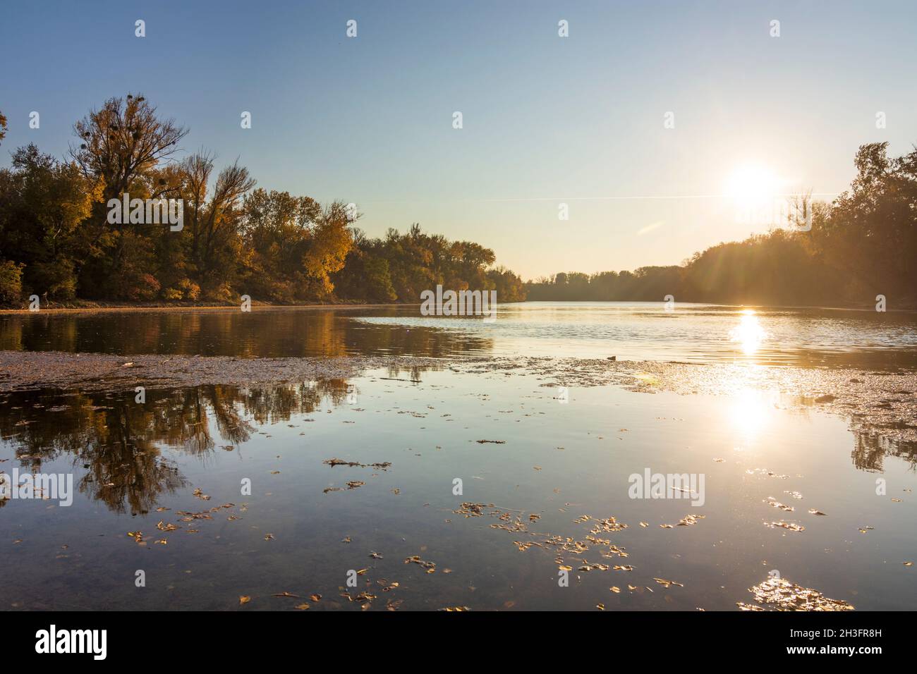Lobau donau oder kanal hi-res stock photography and images - Alamy