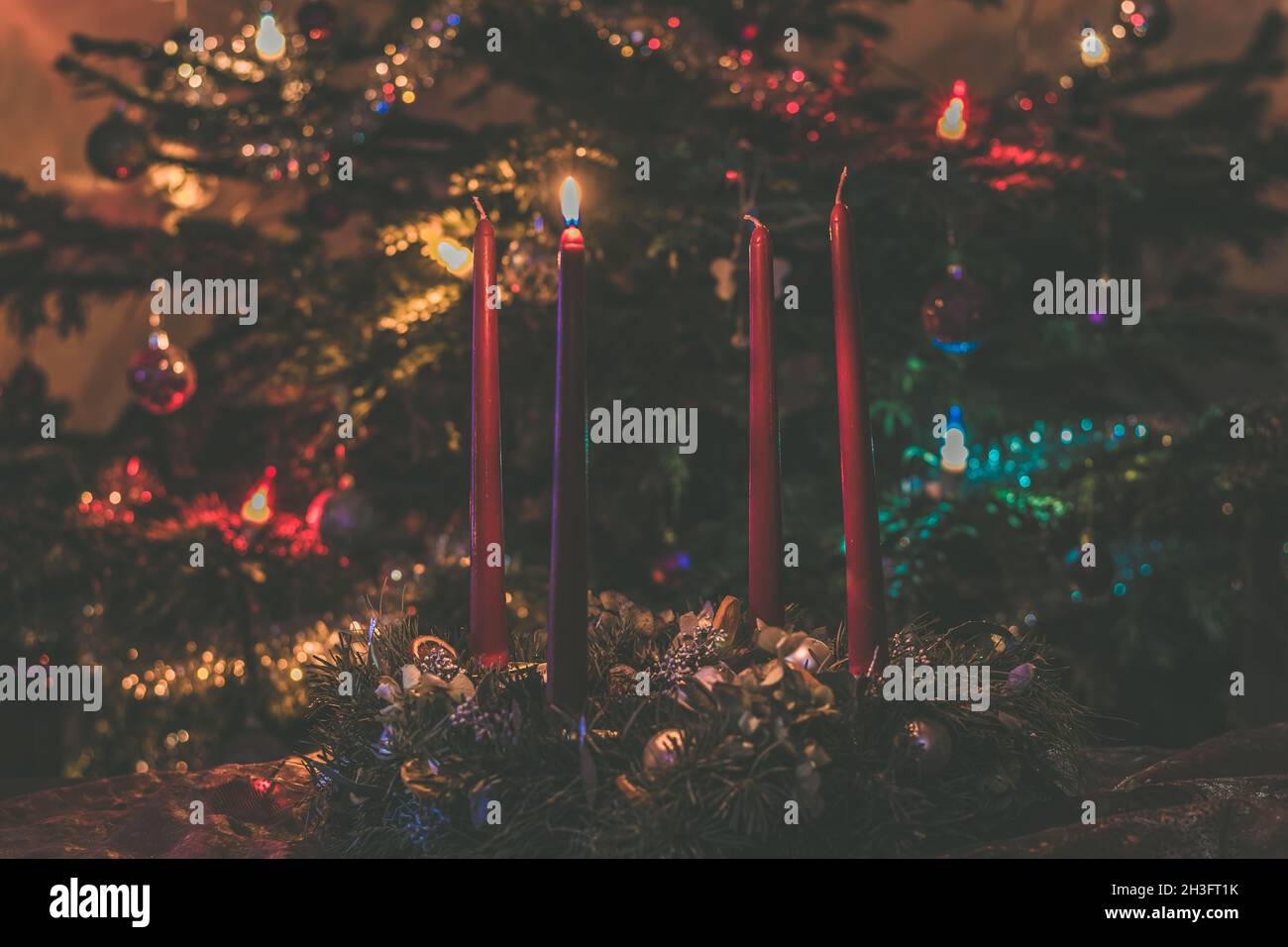 burning first advent candle with illuminated christmas tree in ...