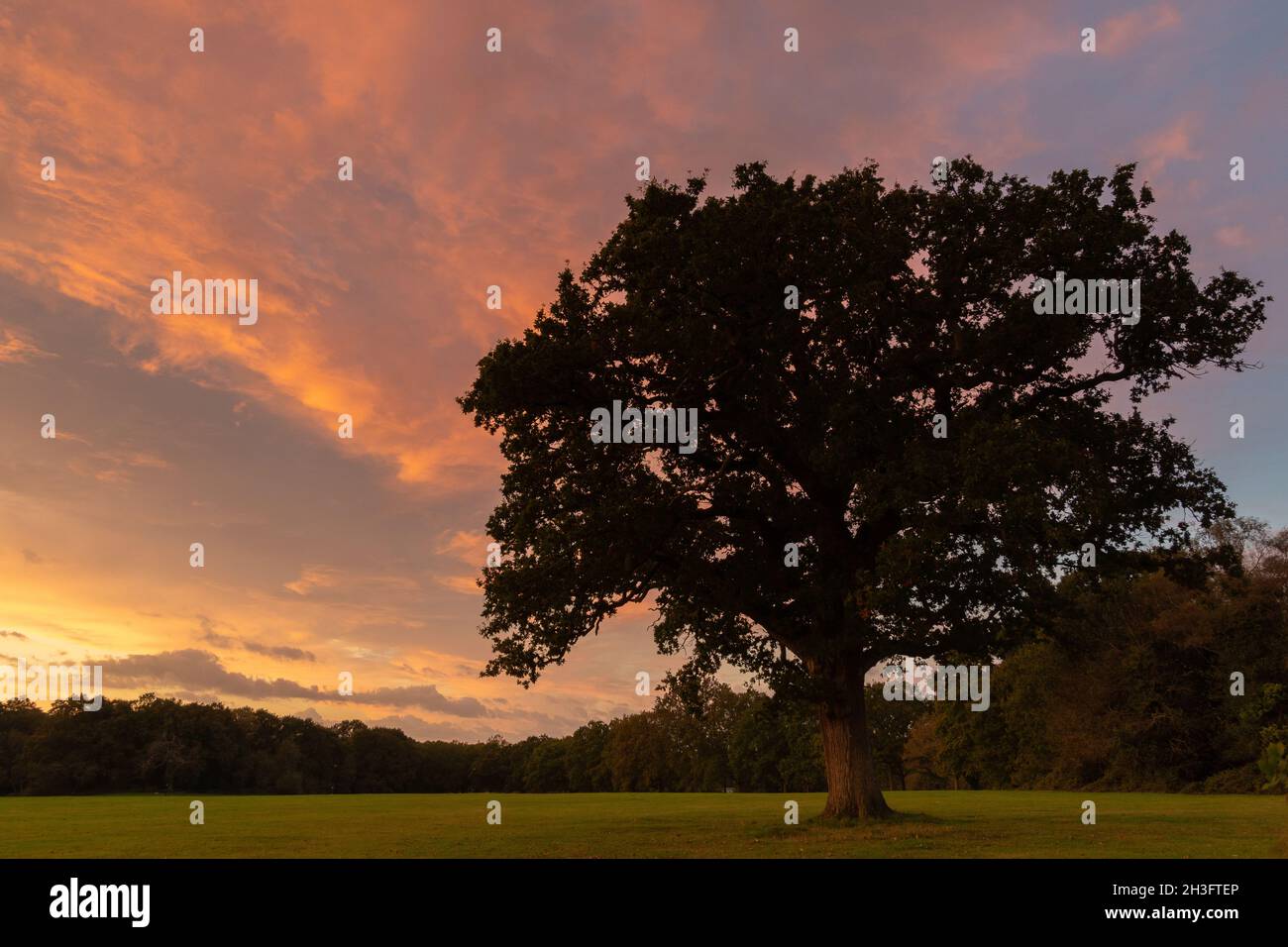 Sunrise on Southampton Common Stock Photo - Alamy
