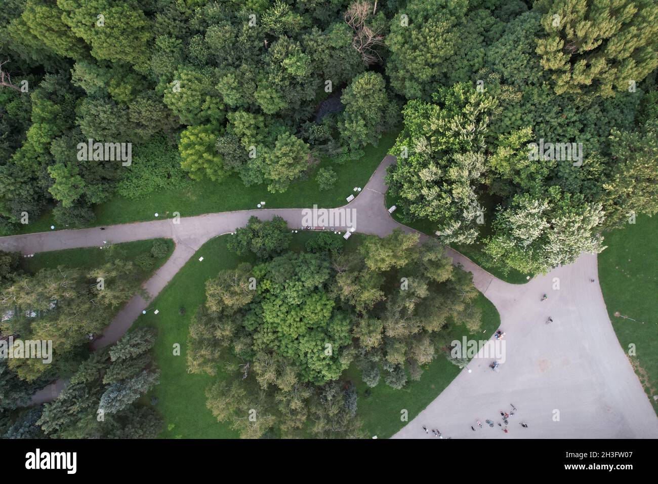 Urban park with meadow, trees and paths. Top view Stock Photo - Alamy