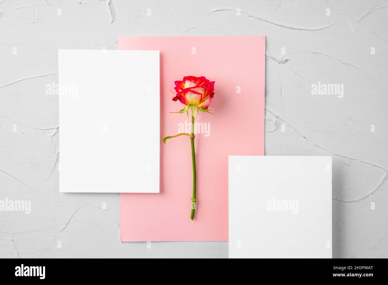 Top view of a pink paper letter and flowers with copy space Stock Photo ...