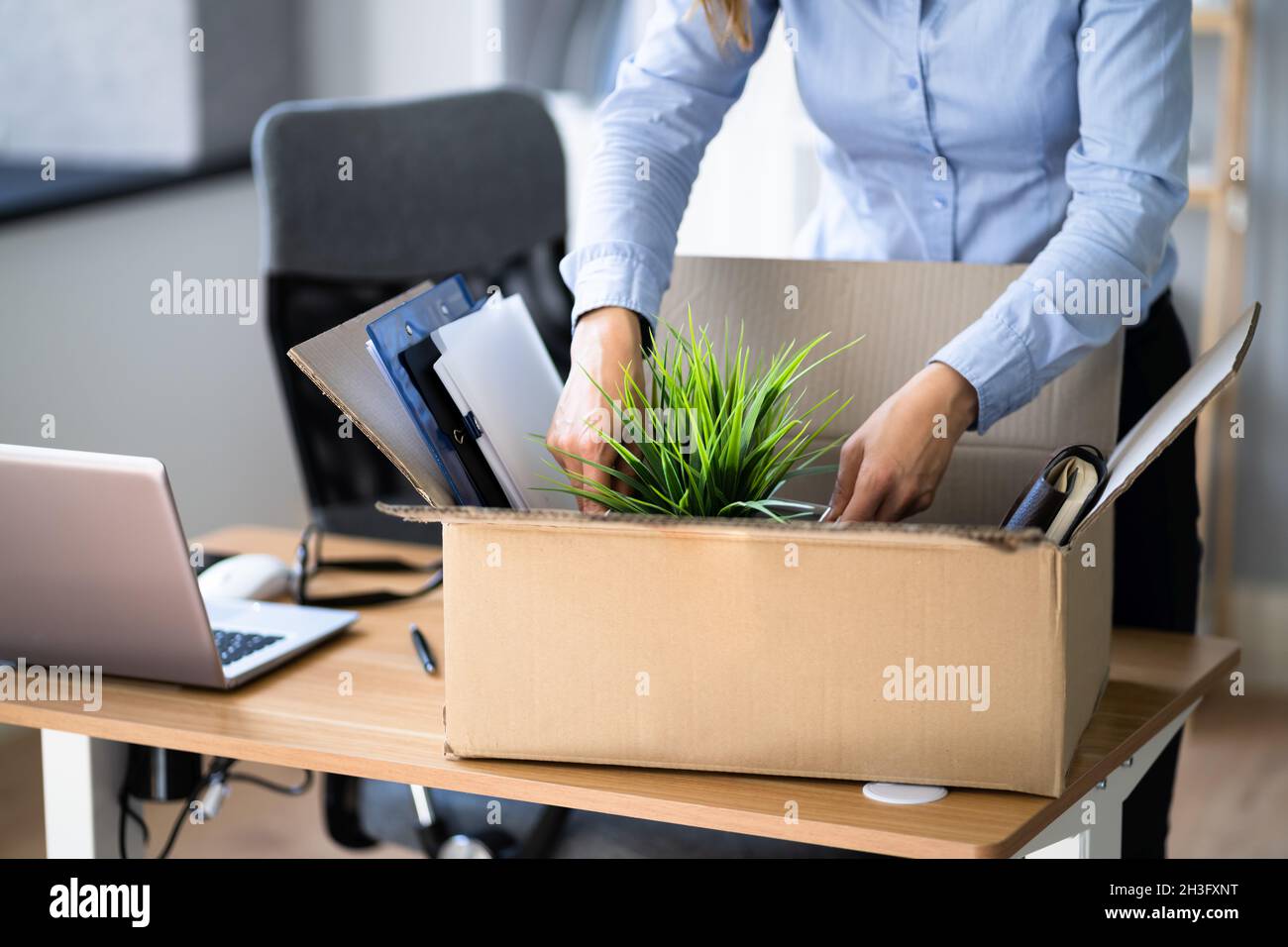 Job Quit. Employee Packing Cardboard Box At Desk Stock Photo - Alamy