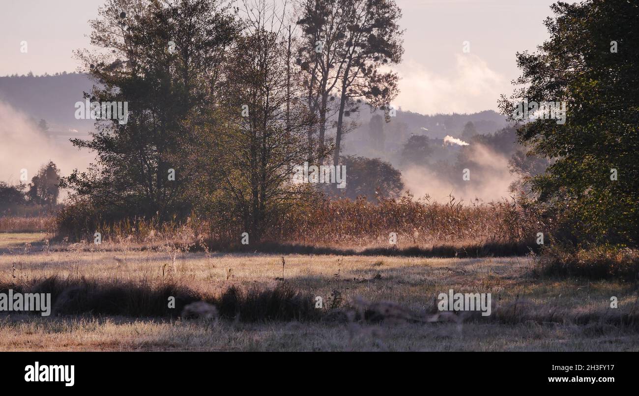 Early Morning Fog In Ampermoos, Amper Fen, River Valley Fen Near Lake ...