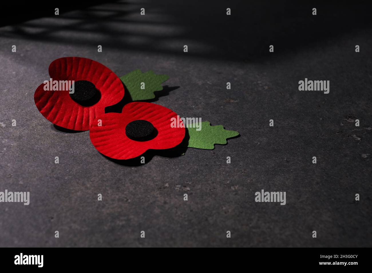 World War remembrance day. Red poppy is symbol of remembrance to those ...