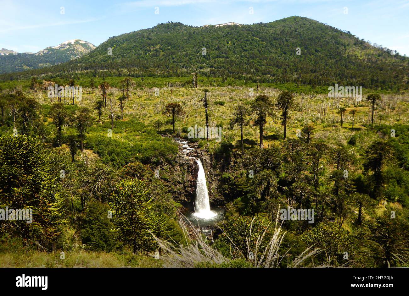 Coloco hi-res stock photography and images - Alamy