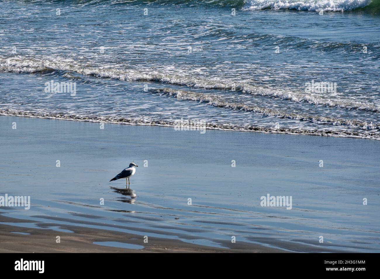 Ri long hi-res stock photography and images - Alamy