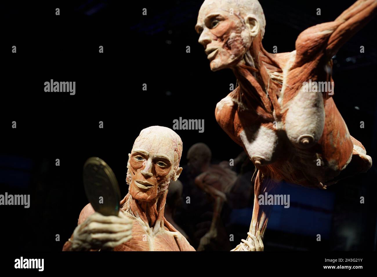 Madrid, Spain. 28th Oct, 2021. Mirror the times specimens seen during ...