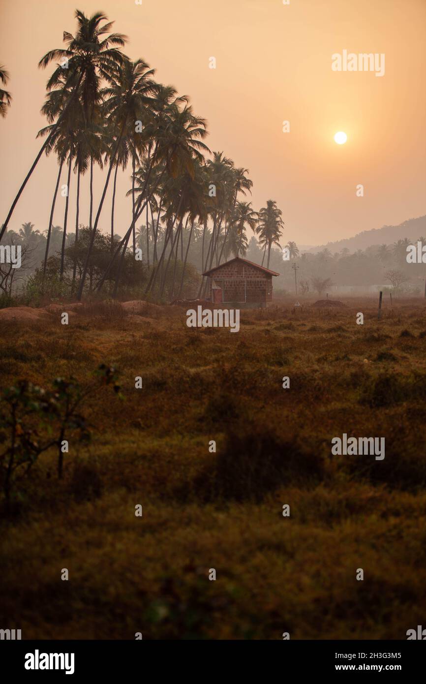 early morning in an indian village Stock Photo - Alamy