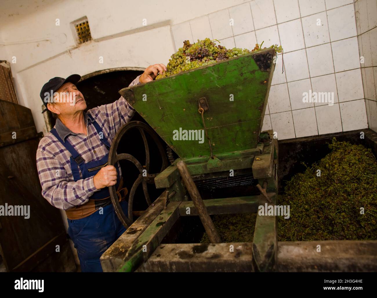Vintner pressing grapes Stock Photo - Alamy