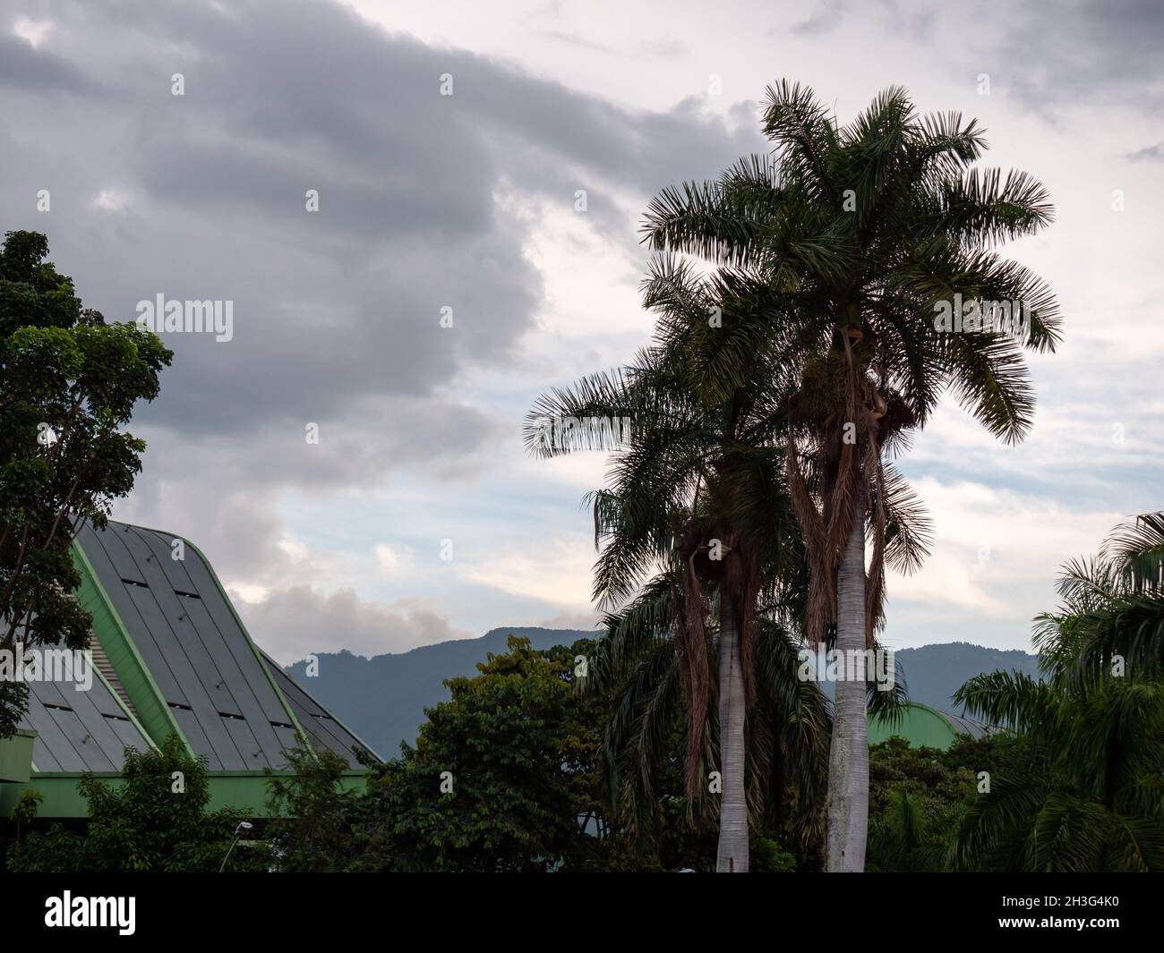 Weird Shaped Rooftop Structure and Palm Tress at Sunset Stock Photo - Alamy