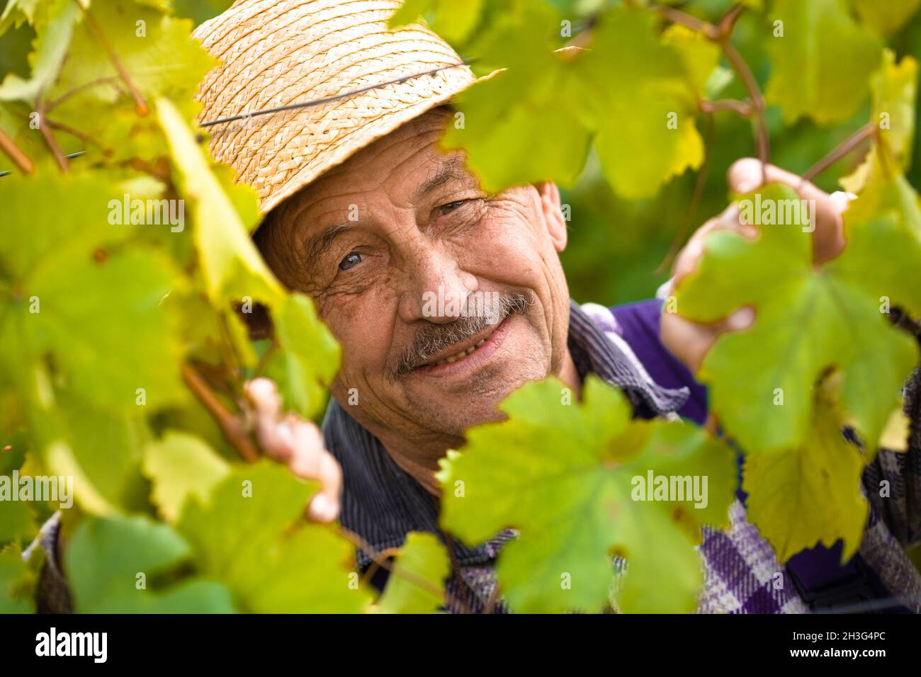 Happy peasant hi-res stock photography and images - Alamy