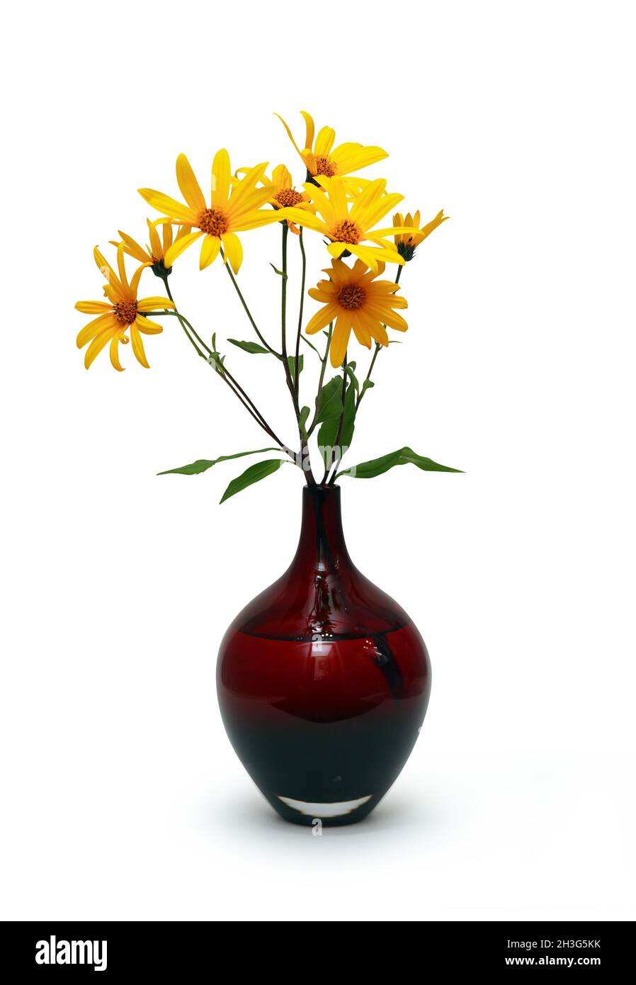 Variety of wildflowers Cut Out Stock Images & Pictures - Alamy