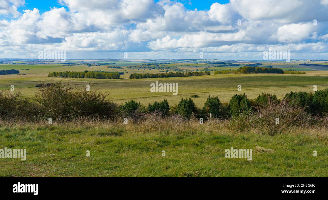 long English countryside view of green fields, woodlands and a big blue ...