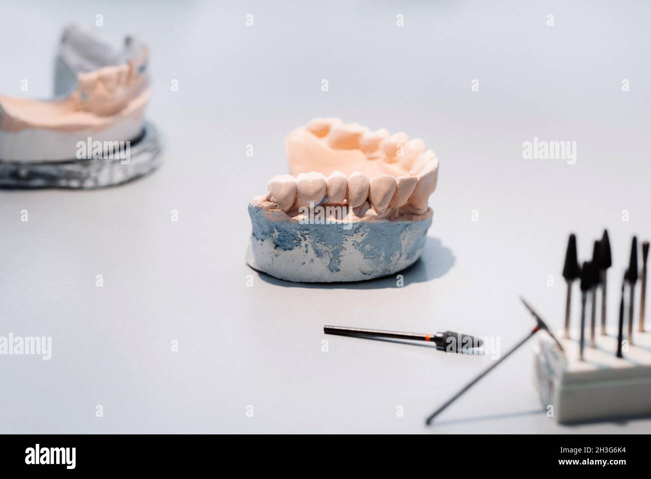 Model of teeth made of plaster of the jaw for dental technicians Stock ...
