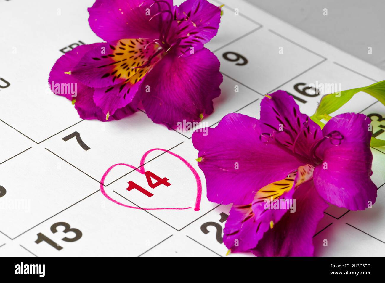 Rose 'valentine heart' flowers hi-res stock photography and images - Alamy