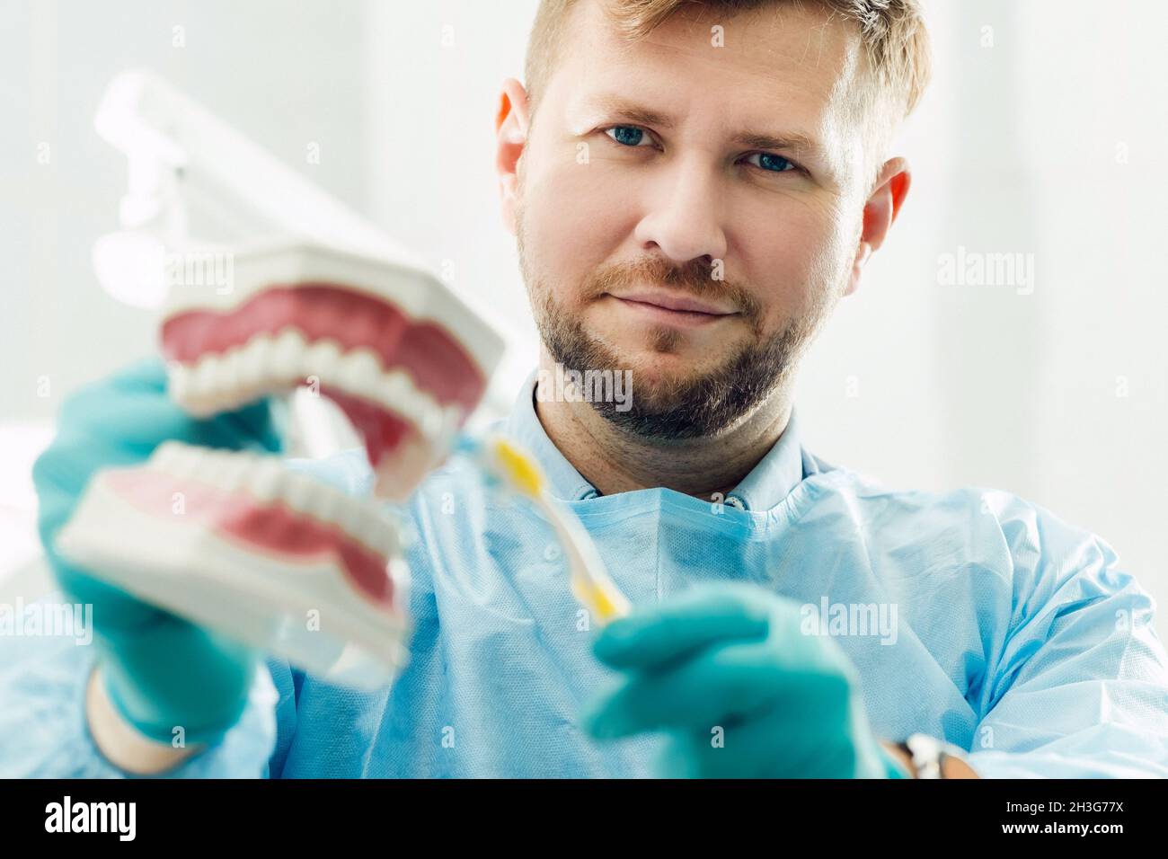 A model of a human jaw with teeth and a toothbrush in the dentist's ...