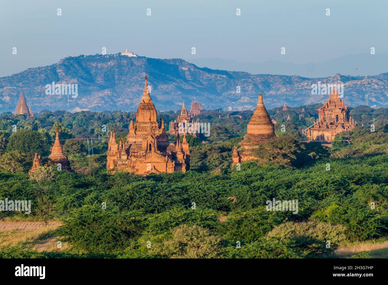Skyline of temples in Bagan, Myanmar Stock Photo - Alamy