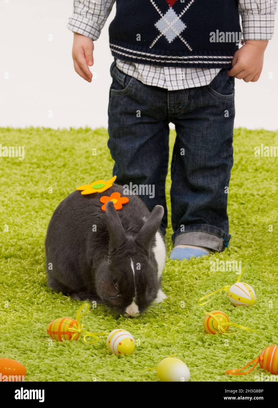The only son and the rabbit hi-res stock photography and images - Alamy