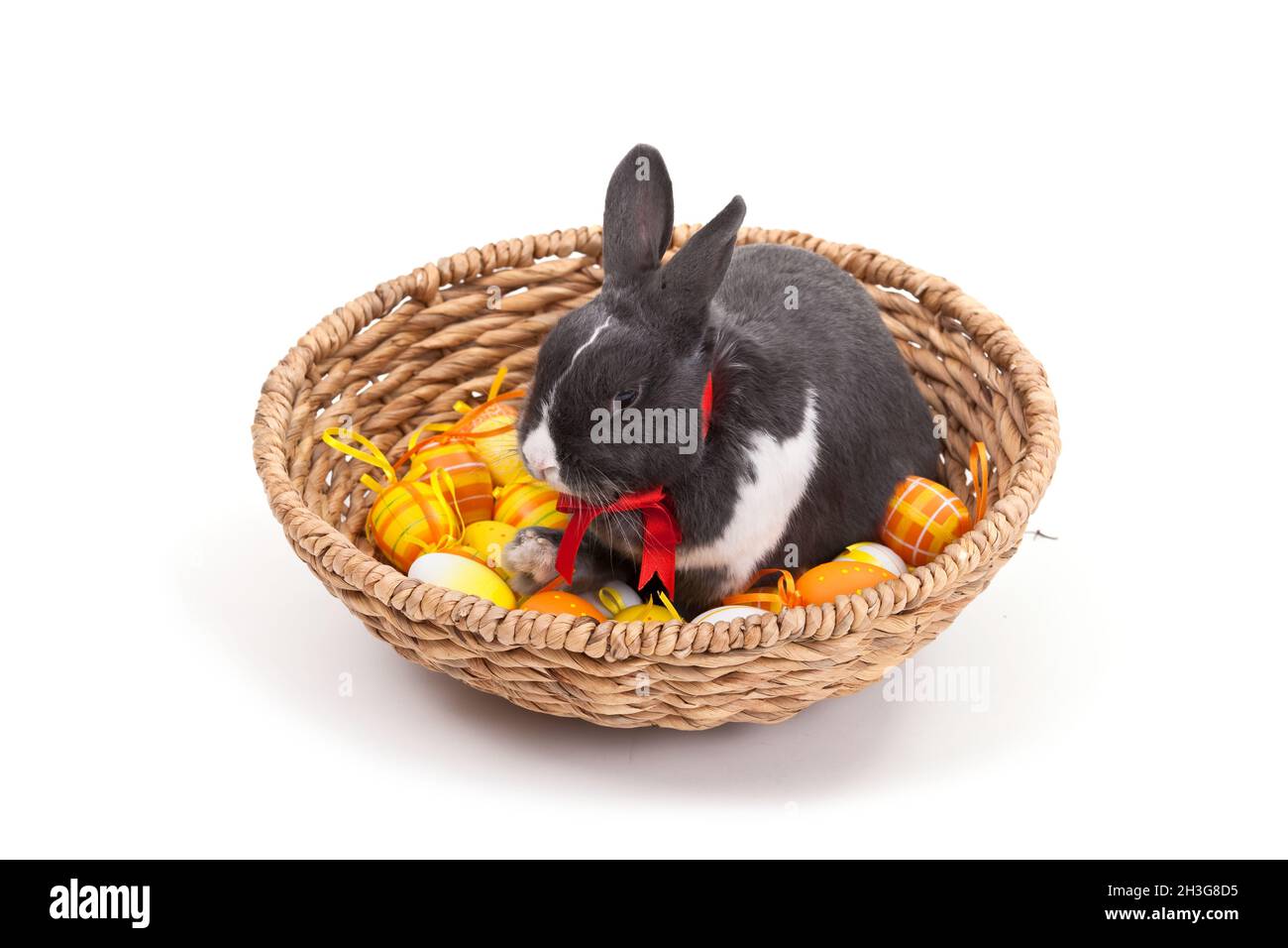 Easter bunny in basket isolated on white Stock Photo - Alamy