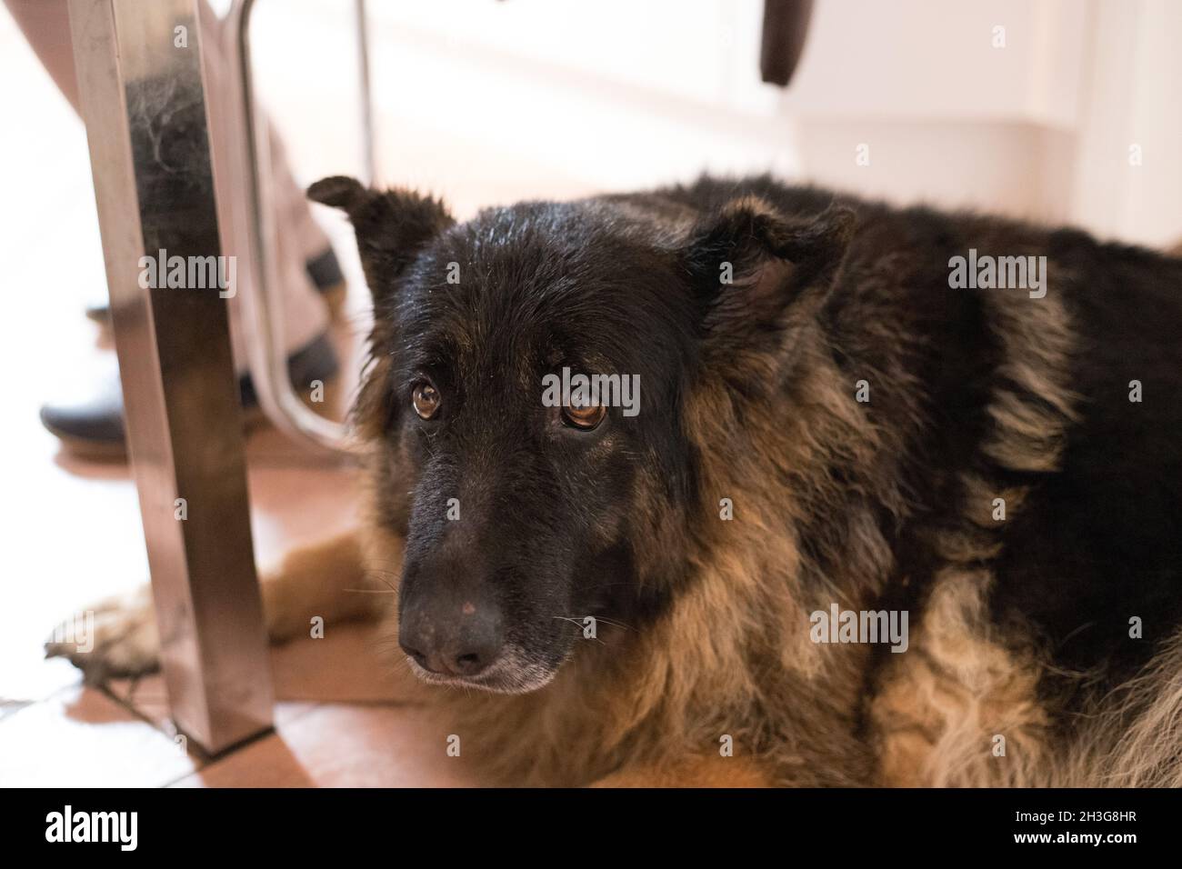 Kitchen sad hi-res stock photography and images - Alamy