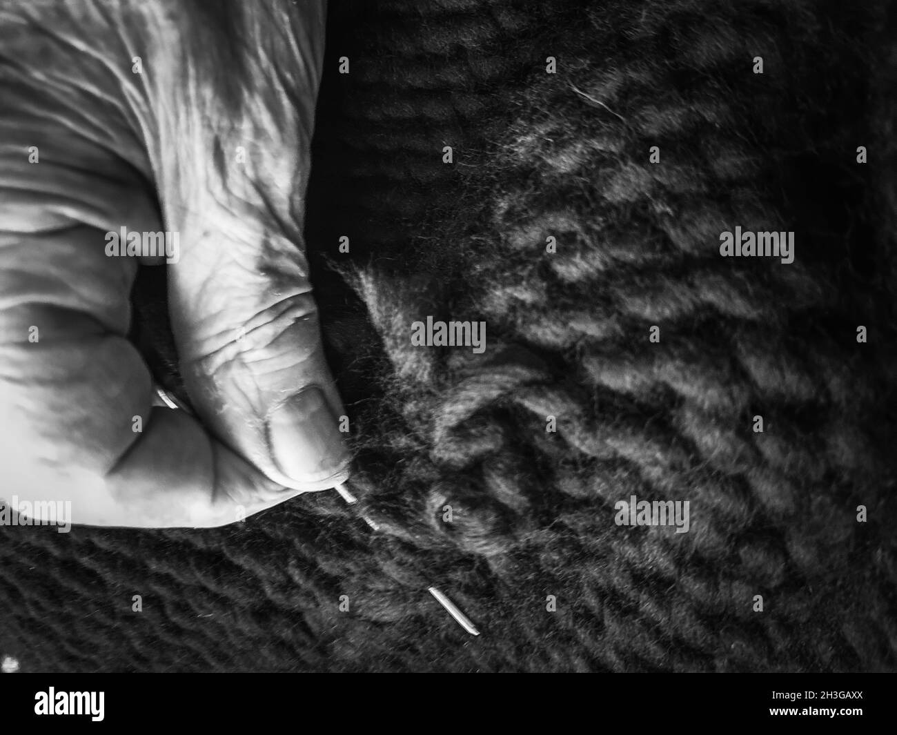 Demenz mann hi-res stock photography and images - Alamy