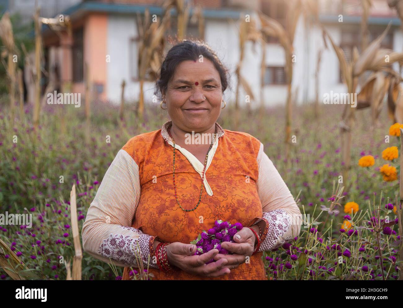 A woman holds amaranth flowers in her hands for making garlands for the ...