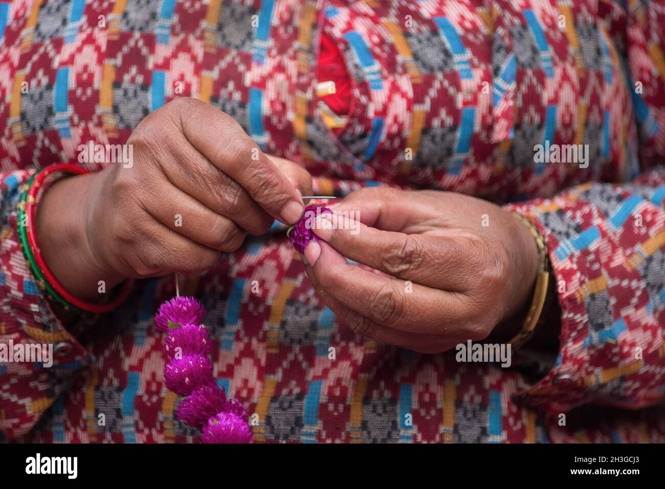 A woman makes garland from the globe amaranth flowers for the upcoming ...