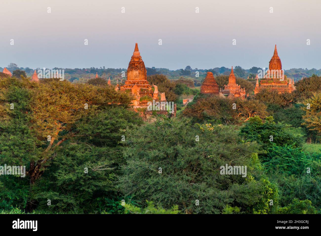 Skyline of Bagan temples, Myanmar Stock Photo - Alamy