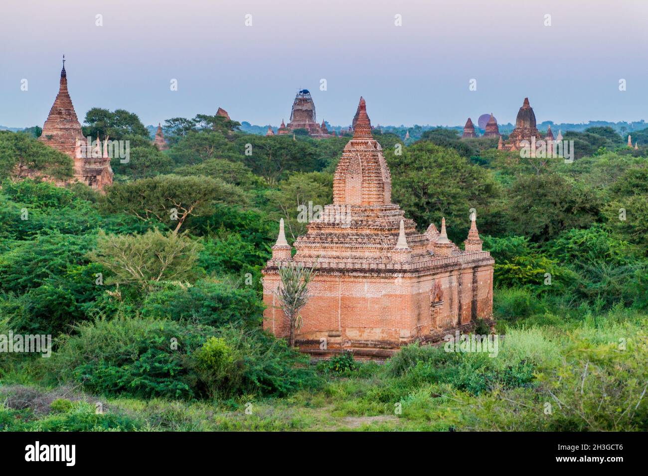 Skyline of Bagan temples, Myanmar Stock Photo - Alamy
