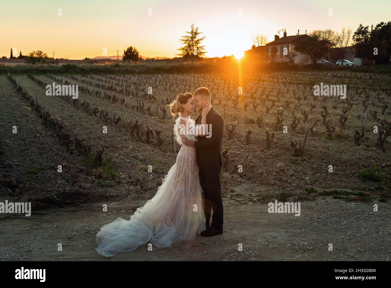 Wedding couple at sunset in France.Wedding in Provence.Wedding photo ...