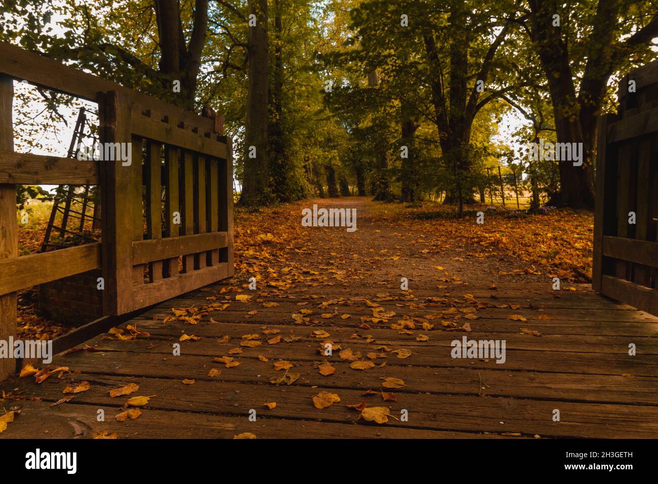 Calke Abbey National Trust, National Park,UK England Autumn 2021 Stock ...