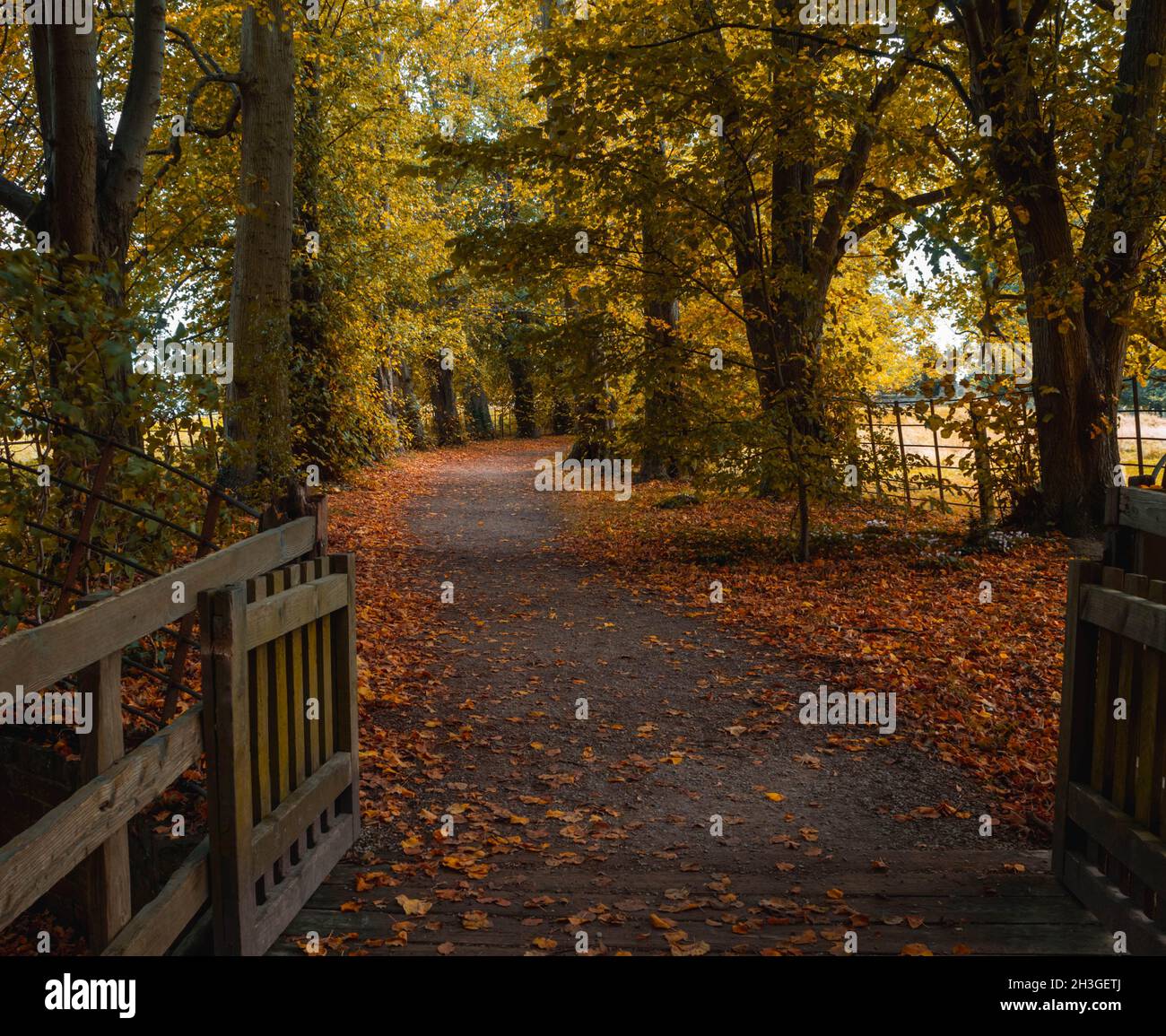 Calke abbey park hi-res stock photography and images - Alamy