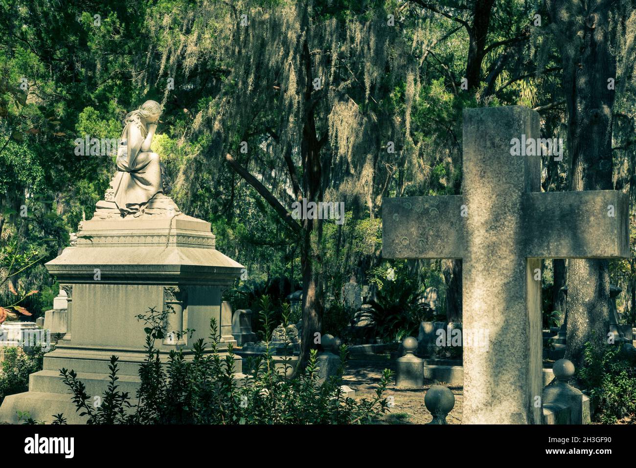 Tombstones of different shapes and sizes in the cemetery with dense ...
